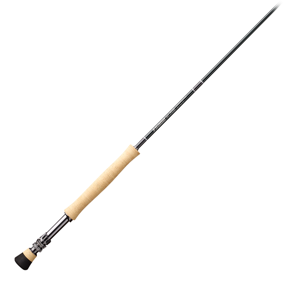 Sage Salt R8 Fly Rod | Bass Pro Shops
